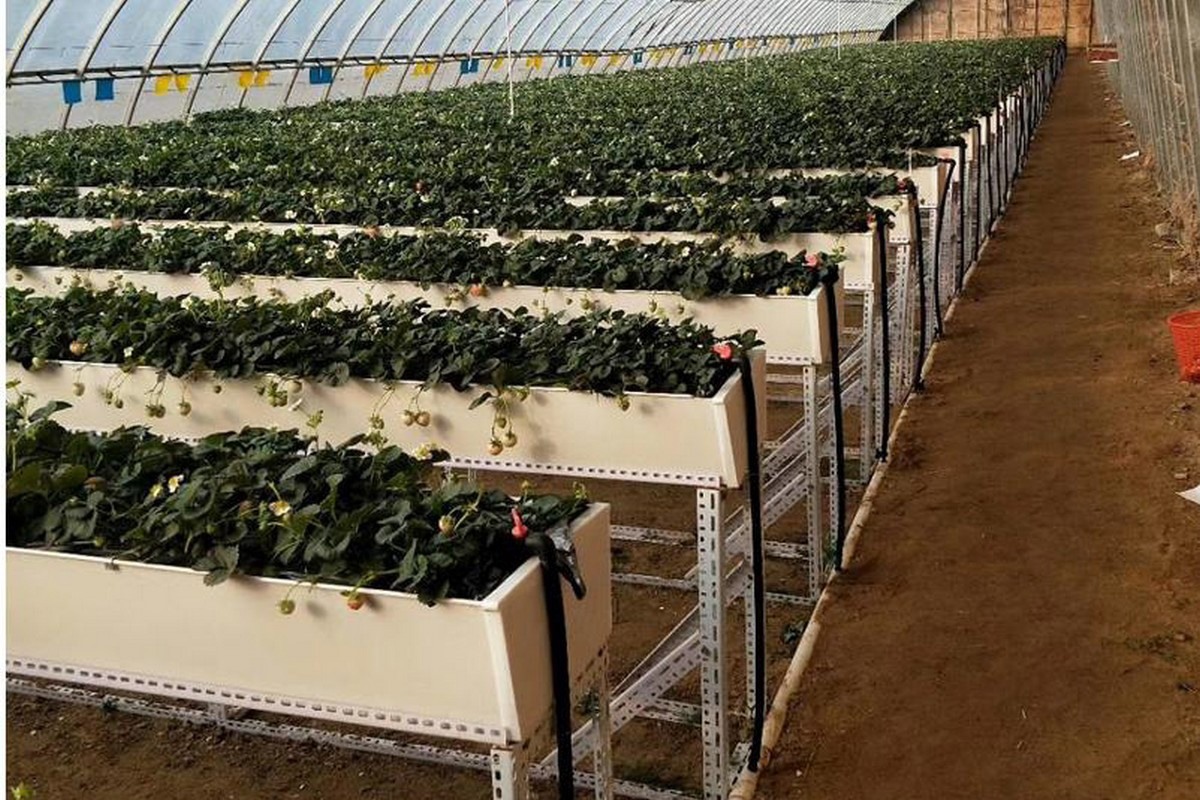 “Our system can manage equipment across 10,000+ m² using just a few wires”