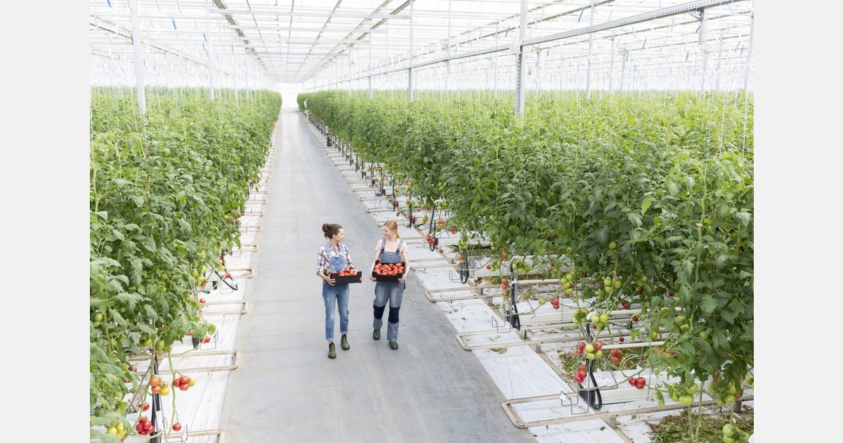 US: New fire safety guidelines for greenhouses published