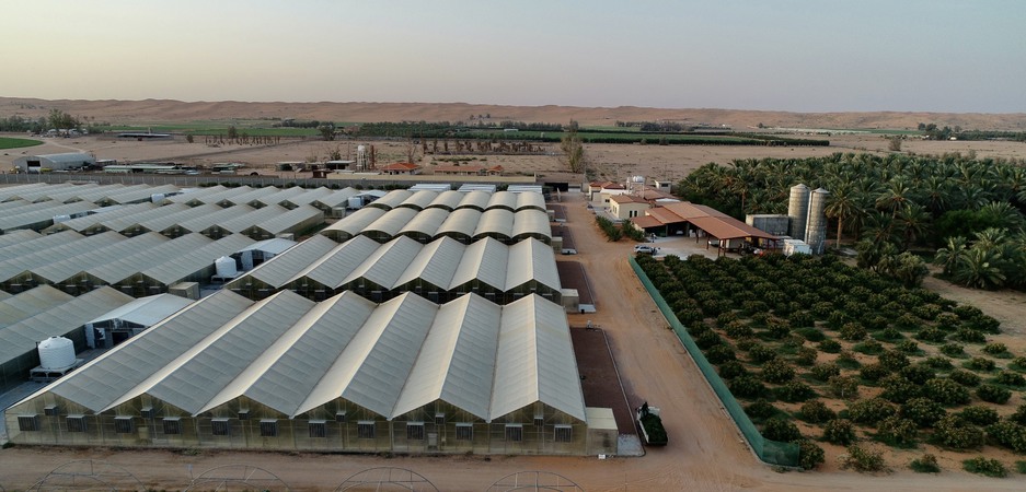 Greenhouse project in northern Saudi Arabia enters first phase