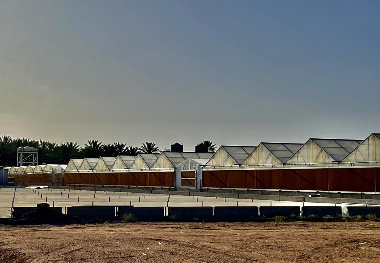 Greenhouse project in northern Saudi Arabia enters first phase