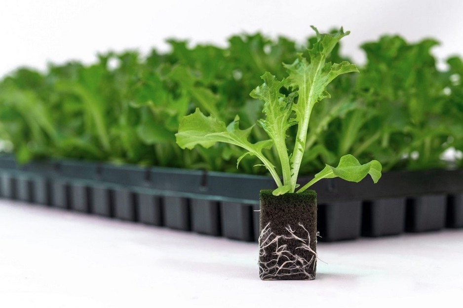 Making the right choice in substrates