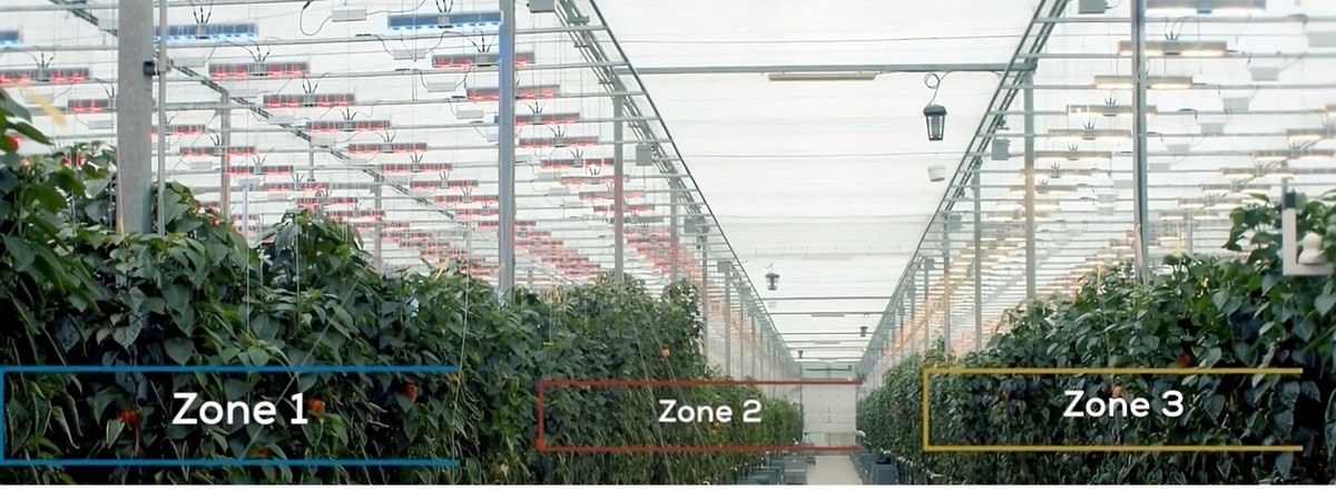 A practical guide to dynamic LED lighting