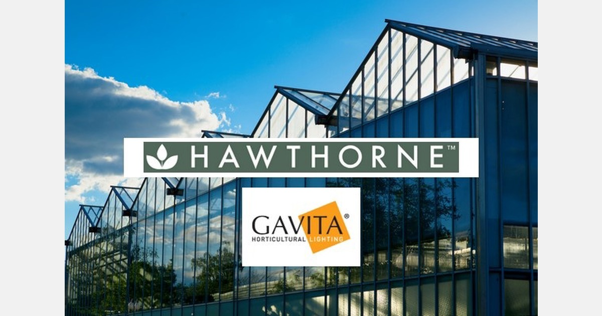 Management buyout marks new chapter for Gavita International