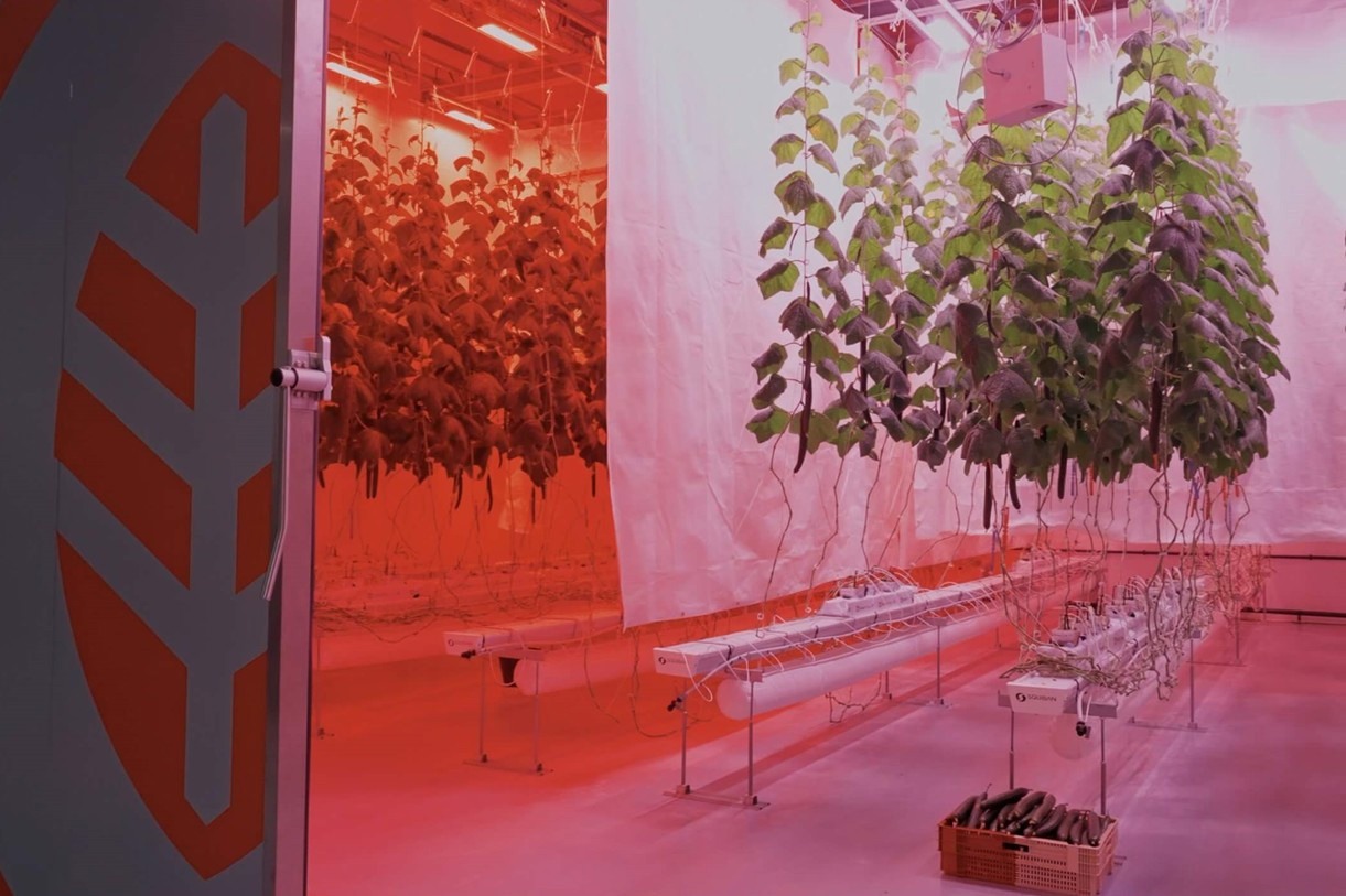 "Adapting light spectra throughout the day can transform plant performance"