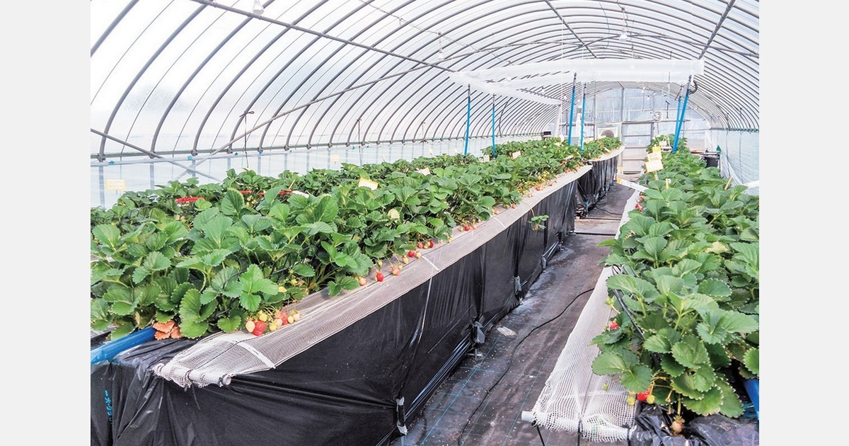 Japanese expertise in direct air capture technology coming to European ...