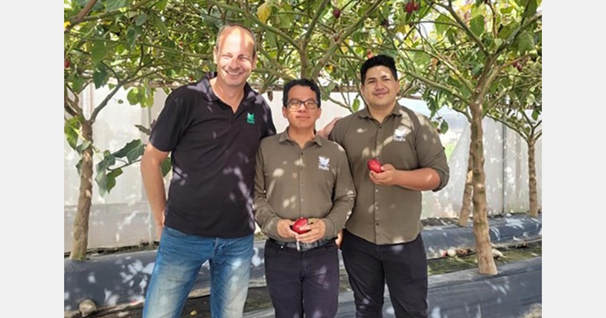 Taking greenhouse expertise to Latin America