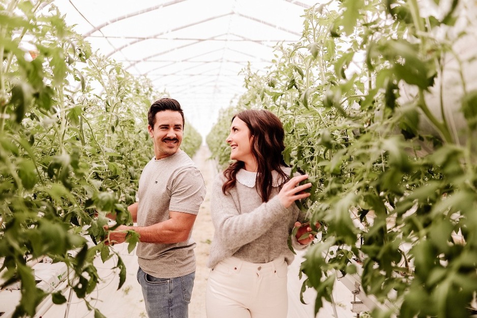 tomaté! doubles its greenhouse area in Saint-Damase with the ...