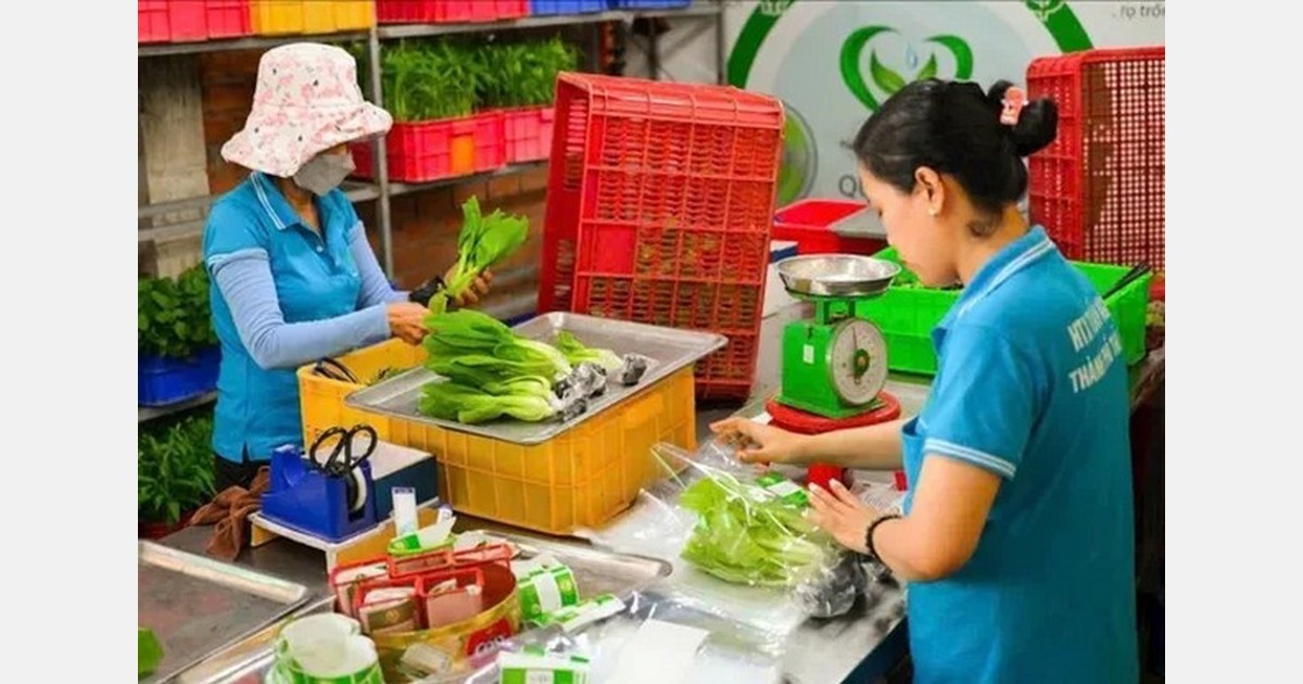 Vietnam: Urban agriculture applying high technology for sustainable ...