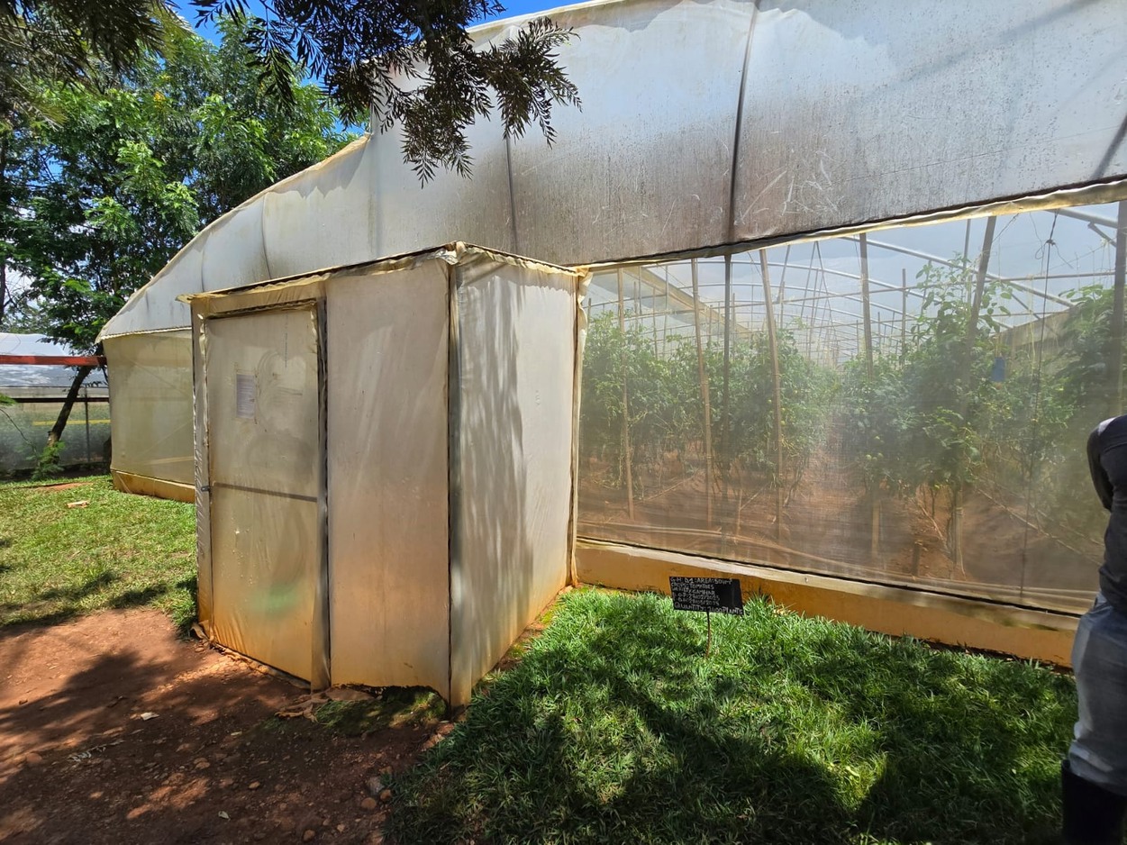 Crop rotation, soil management, and greenhouse cultivation in Rwanda
