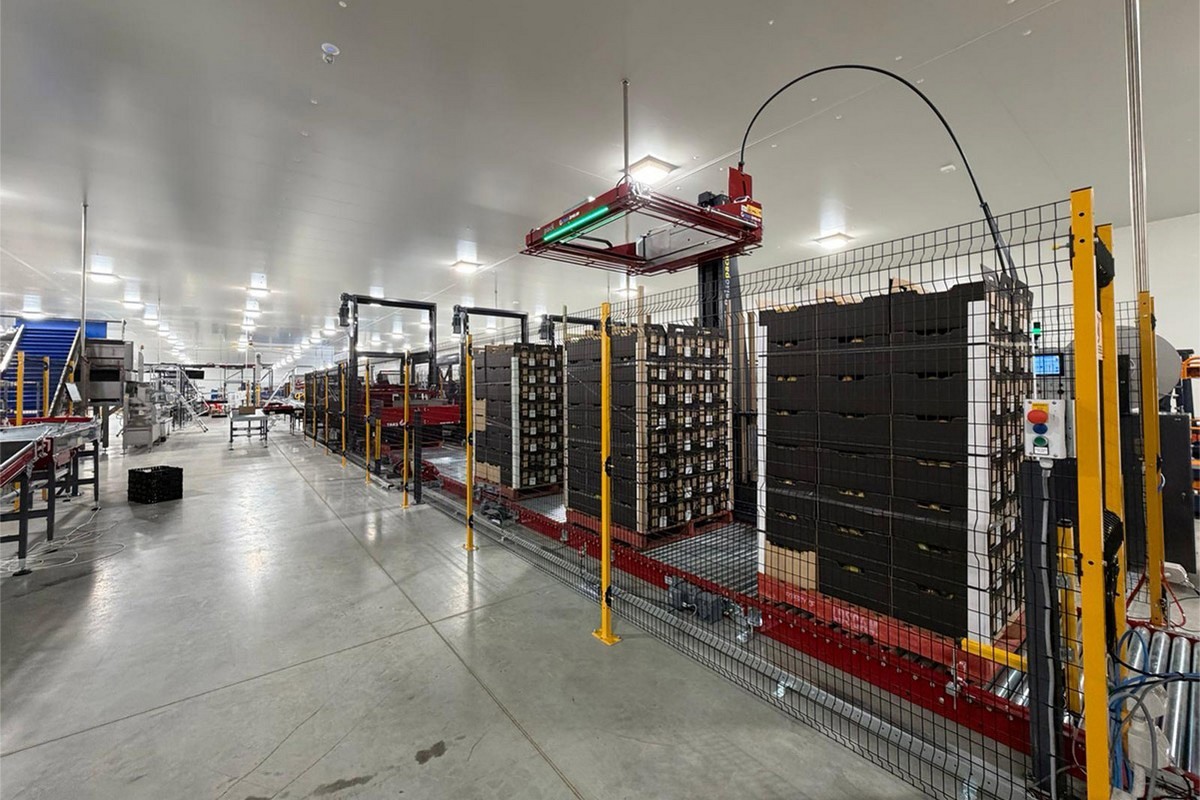 "The packaging line is ideal for large scale tomato packaging"