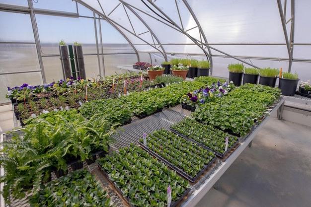 US (PA): Center for Plant Excellence announces grant award recipients