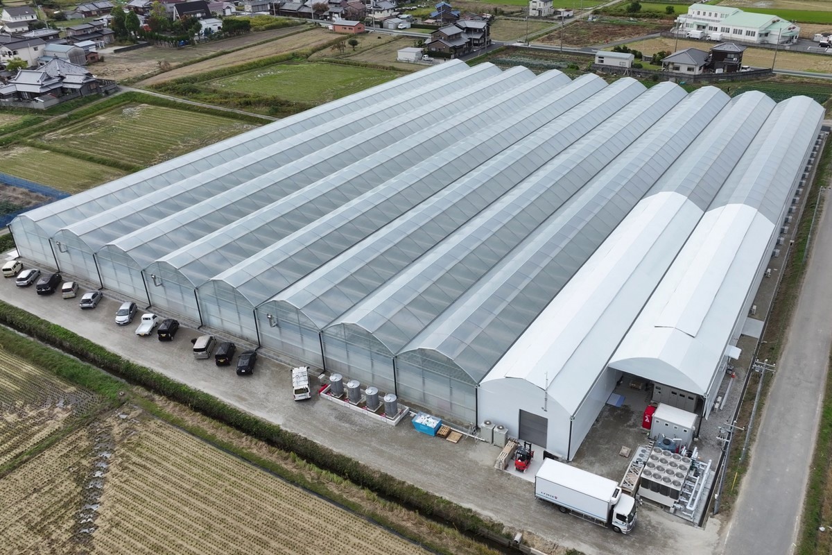 Japan: Newly constructed greenhouse already fully operational