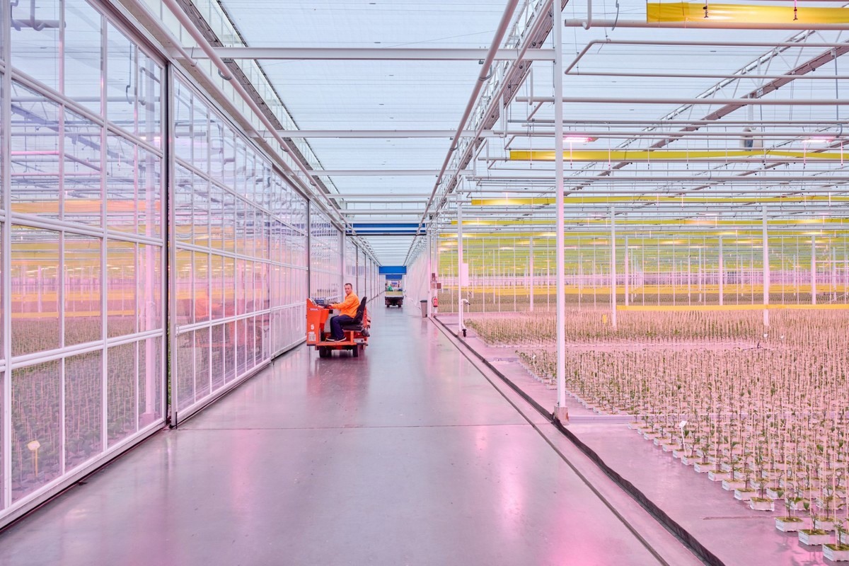 "The ability to fine-tune light percentages gives us complete control ...