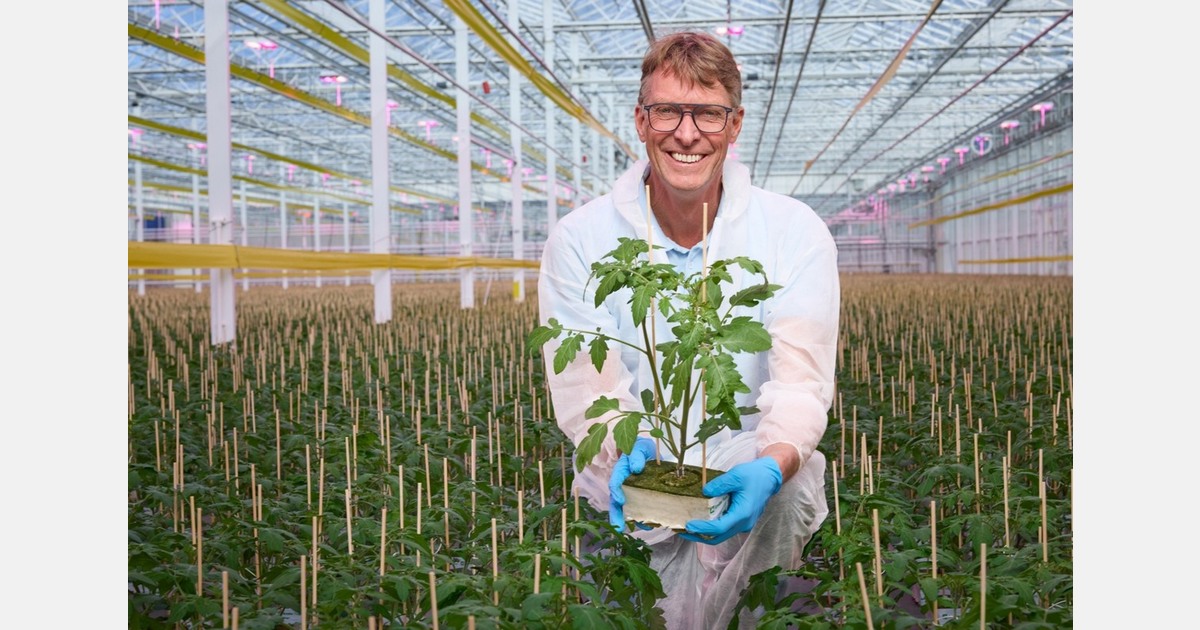 "The ability to fine-tune light percentages gives us complete control ...