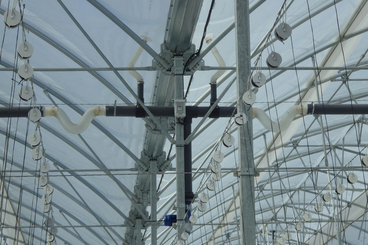 A tomato grower in Spain gets 20% more yield thanks to a double-layered ...