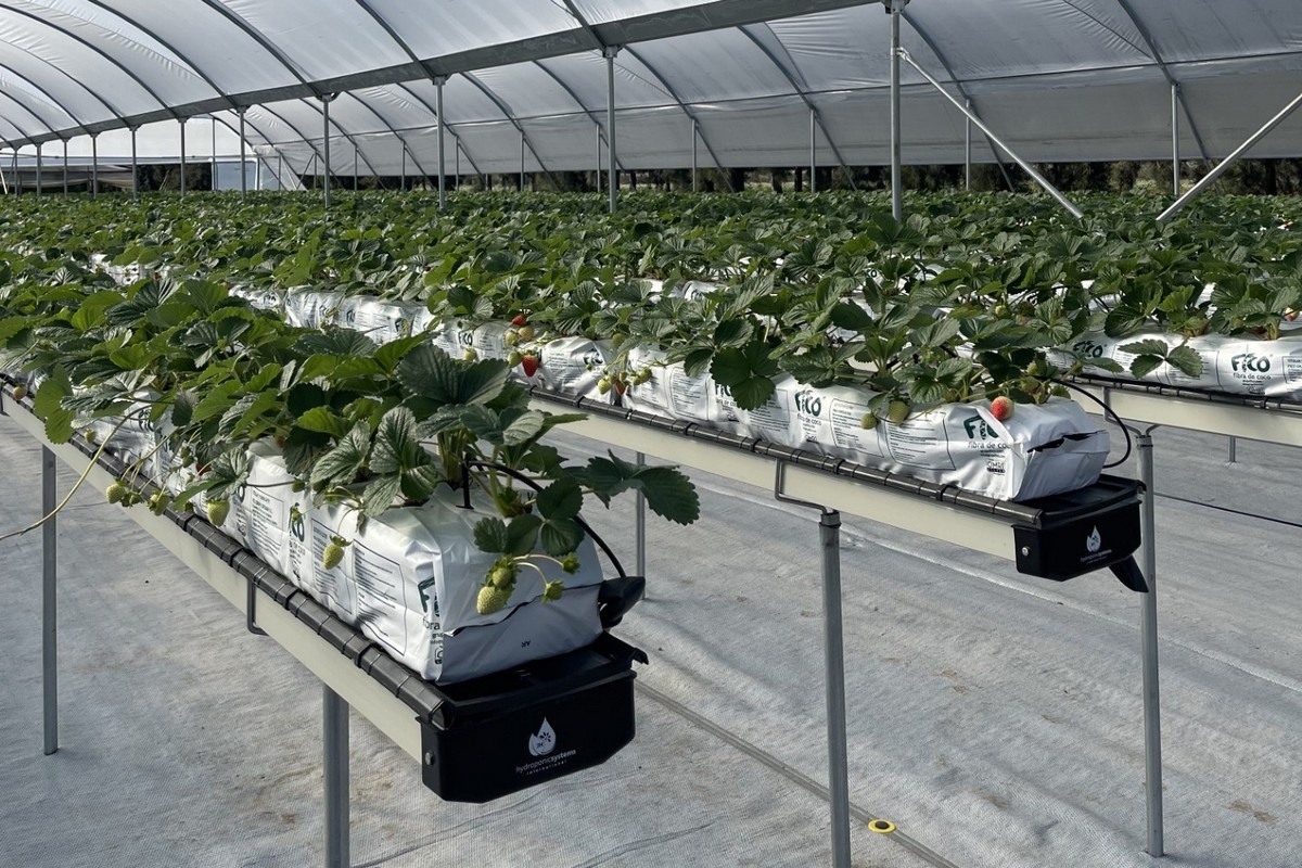 From soil cultivation to multiplying production: the evolution of ...