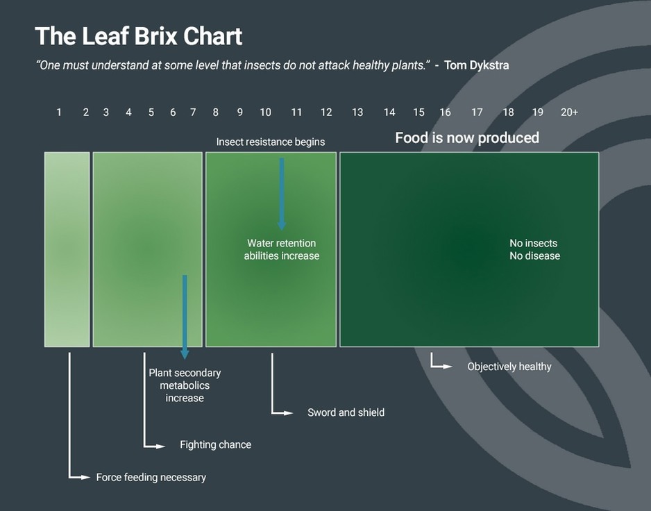 Why brix is so important to measure (not just taste)
