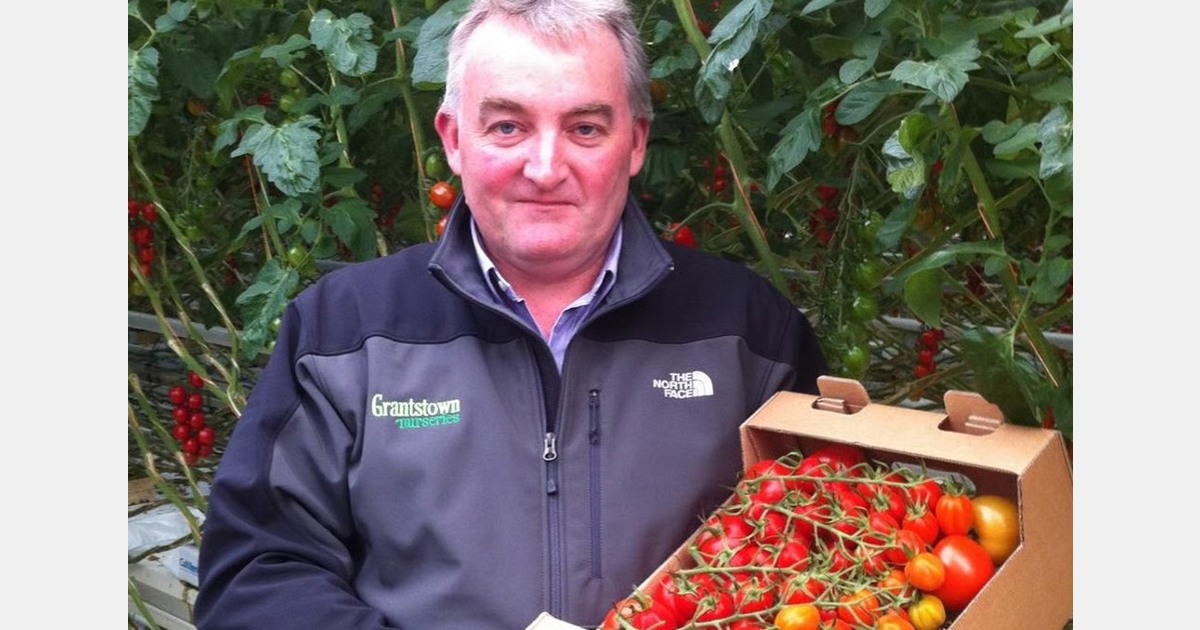 Government support "never been more important" says Irish grower