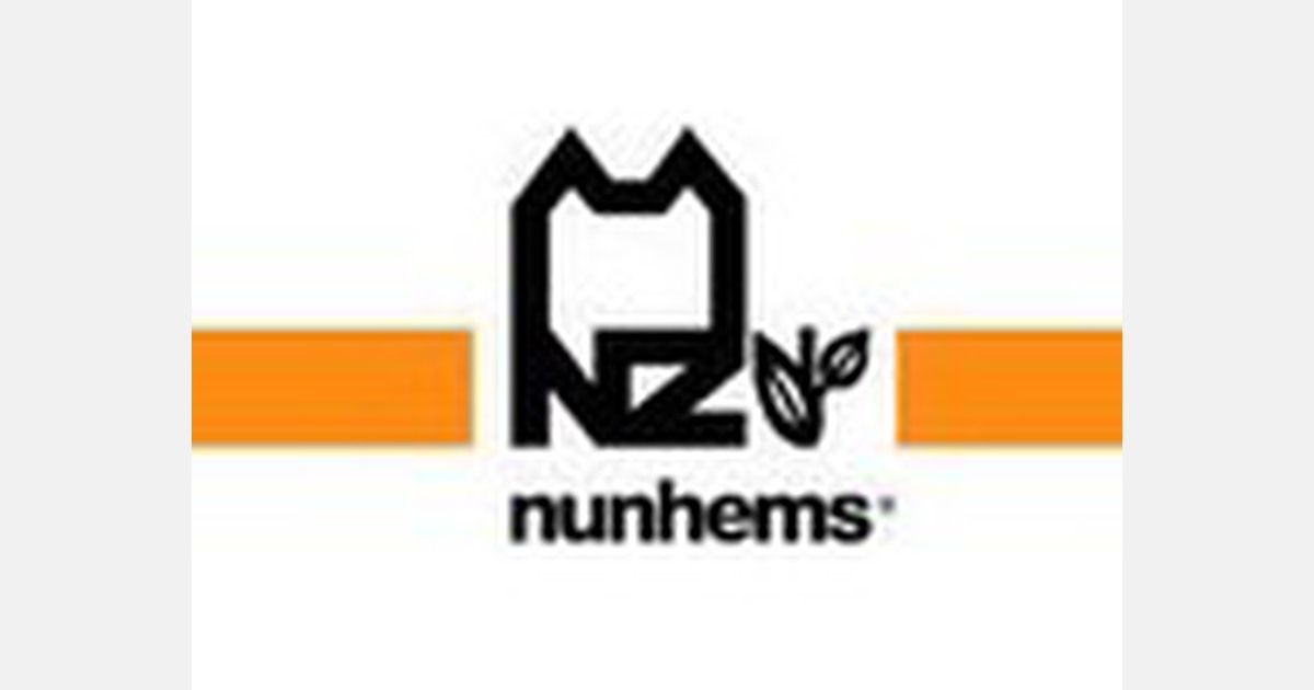 Nunhems introduces Almanzor F1 piel de sapo melon