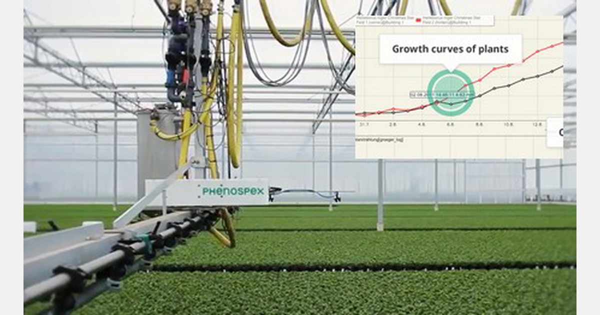 Phenospex' PlantEye gives climate computer green fingers