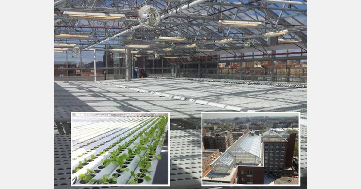 US (NY): Sky Vegetables officialy open 8,000 sqf commercial rooftop ...