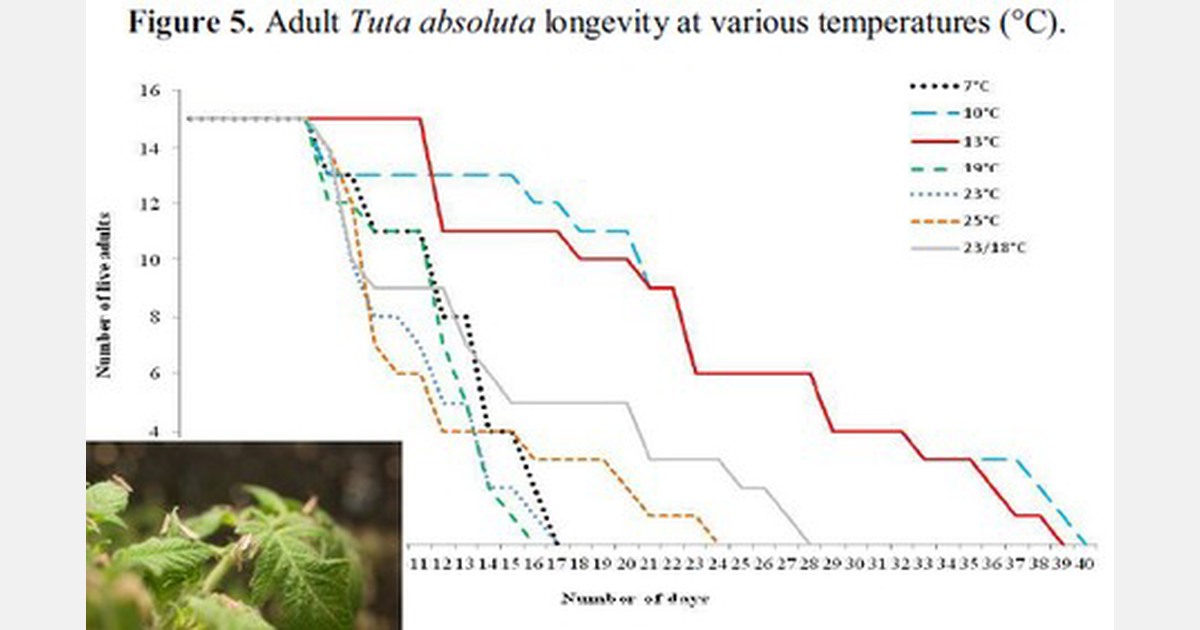 Report: Population development of Tuta absoluta under simulated UK ...