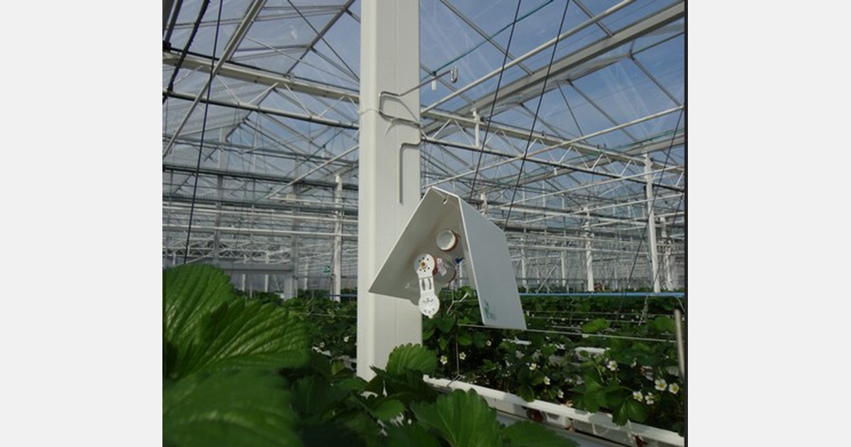Viridaxis' natural aphid control systems now available with innovative ...