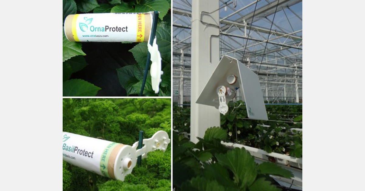 Viridaxis now provides catch-all solution to aphids