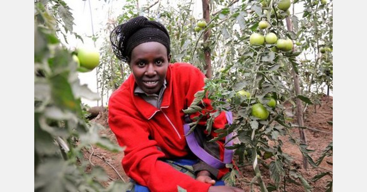 Rwanda: World Visions greenhouse projects feeds and helps locals