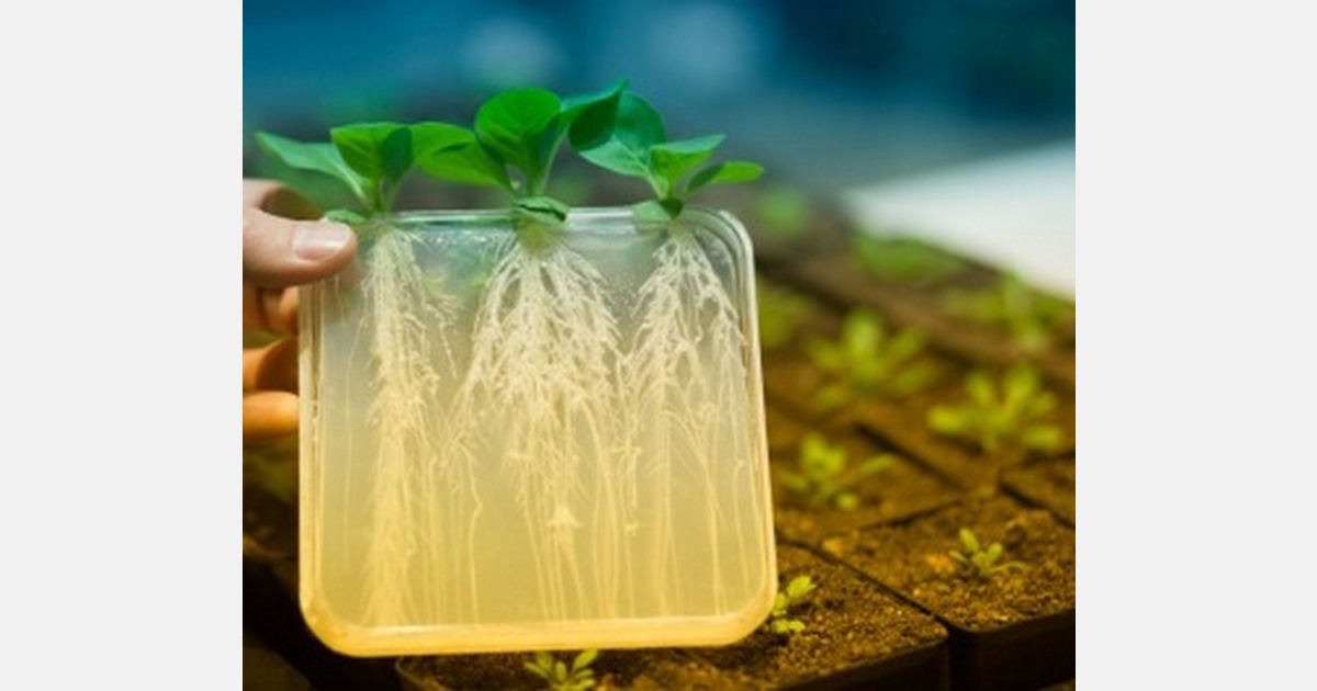 US: EPA registers new active ingredient from FBSciences