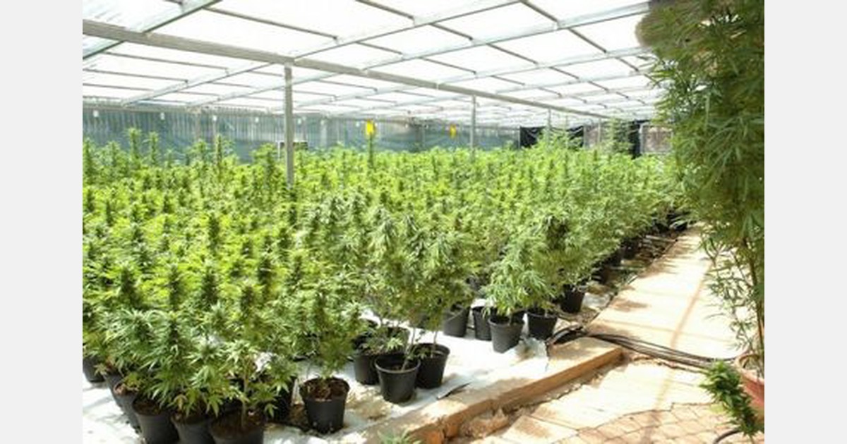 US (AZ): Medical marijuana greenhouse coming to Santa Cruz County