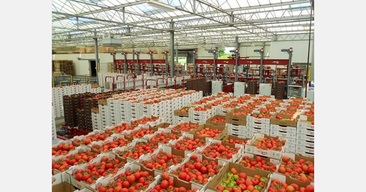 US (NY): Webster Town Board approves Intergrow tomato greenhouse