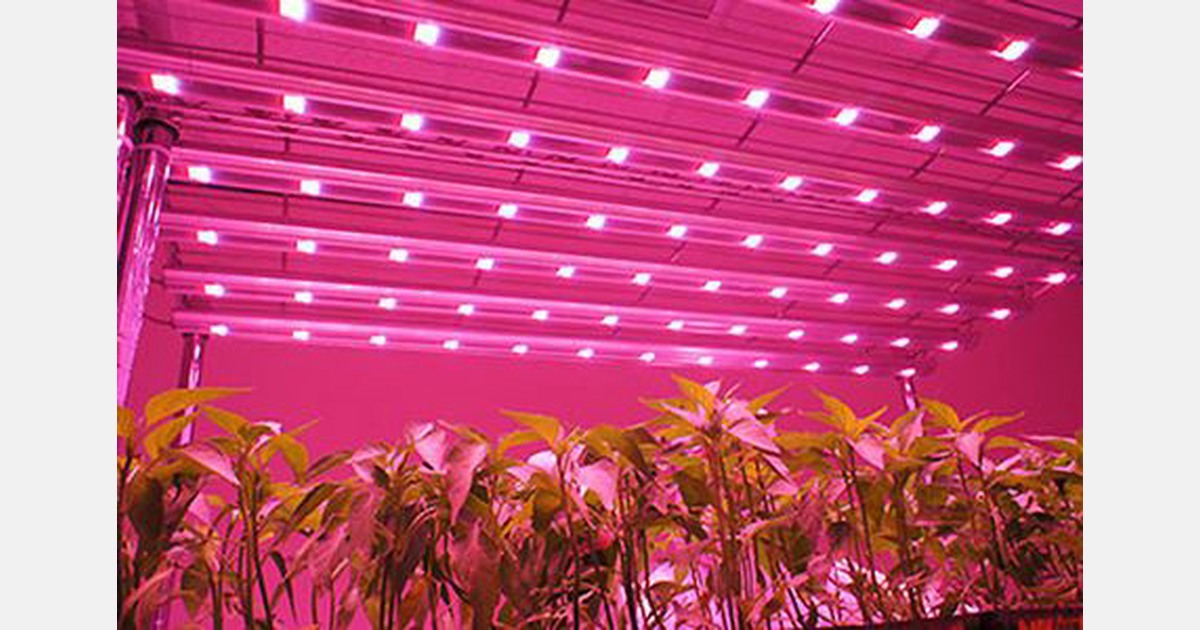 Illumitex wraps up $8.2 million funding round