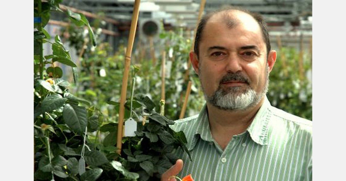Canada: Research Scientist discusses Hardy Rose Breeding Program