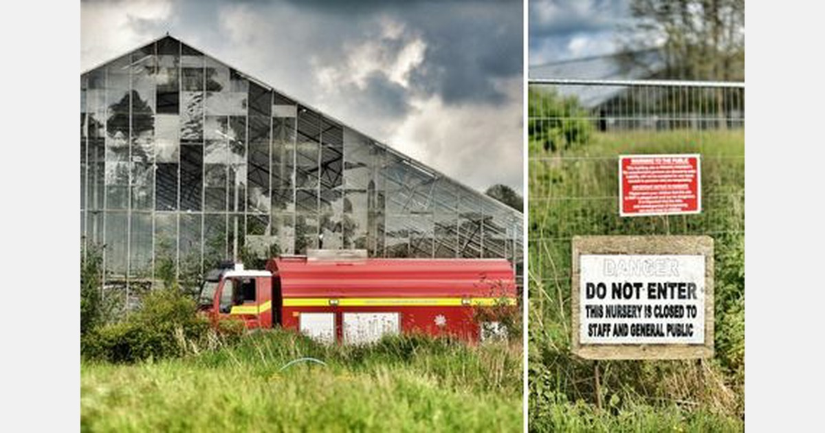 UK: Arsonists spark giant greenhouse fire in Plymouth