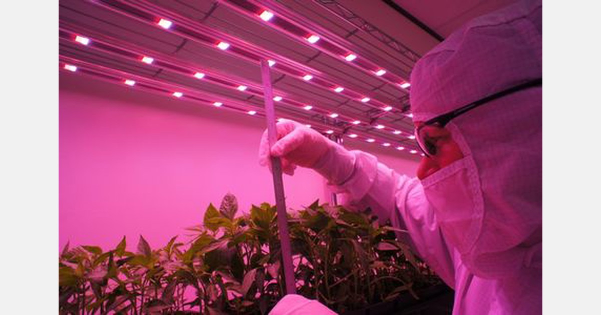PlantLab and Illumitex agree to plant research collaboration