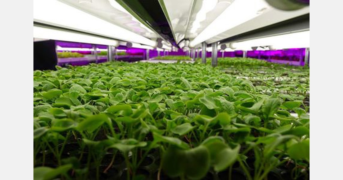 Panasonic contributes to Singapore's self-sufficiency level of ...