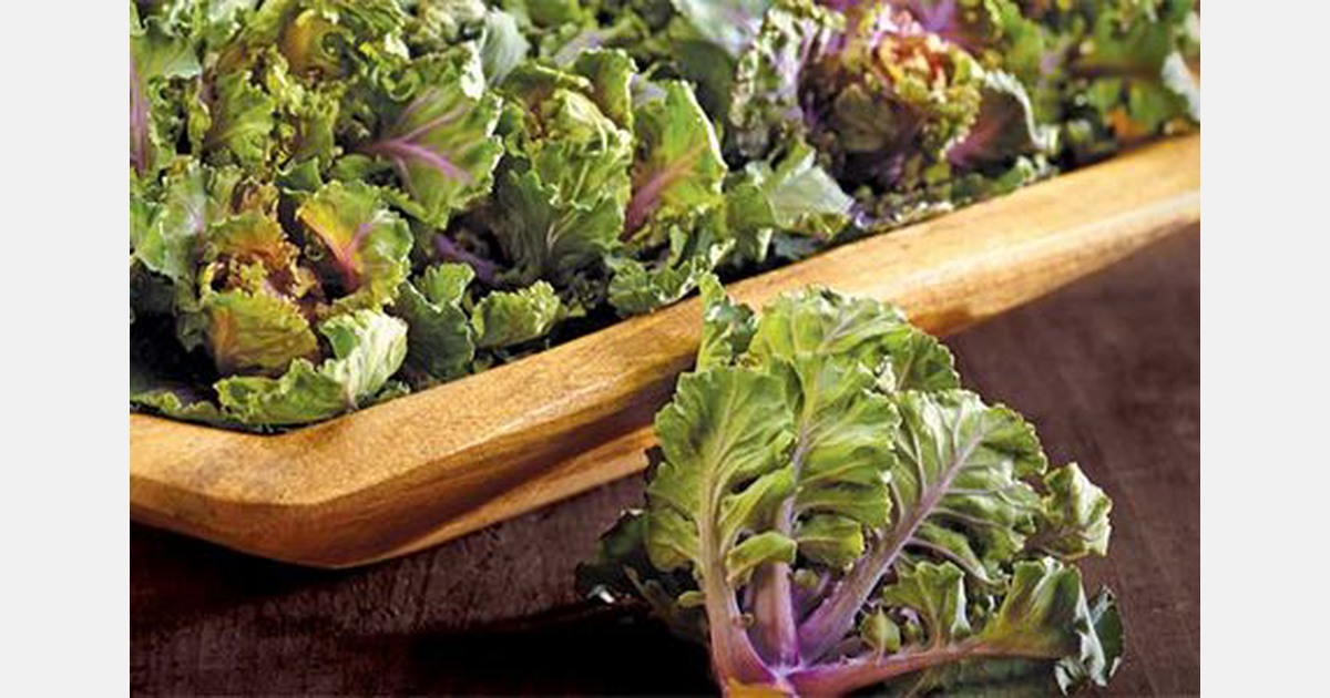 Tozer Seeds announces Kalettes marketing partners