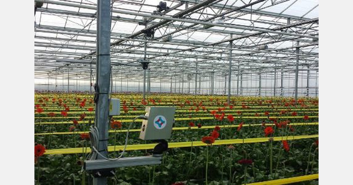 Canada: Hoogendoorn iSii contributes to high results at progressive ...