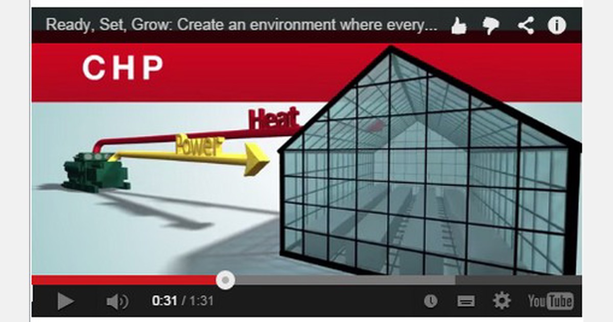 Video: CHP system provides a single source of power for greenhouse