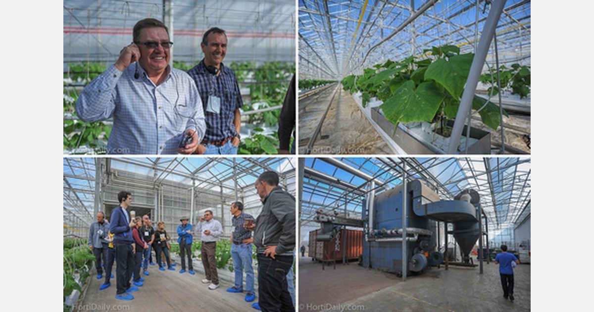 Photo report: Inside Bill Martens' Bluewater Greenhouses