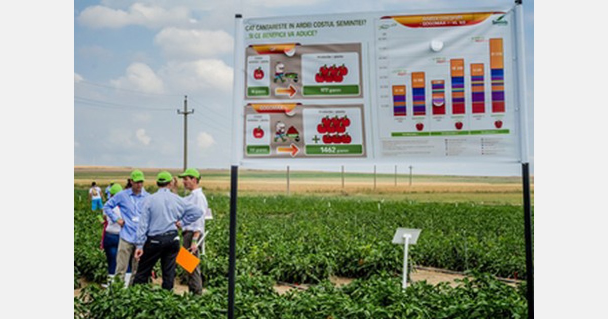Seminis' open field peppers on display in the Balkans