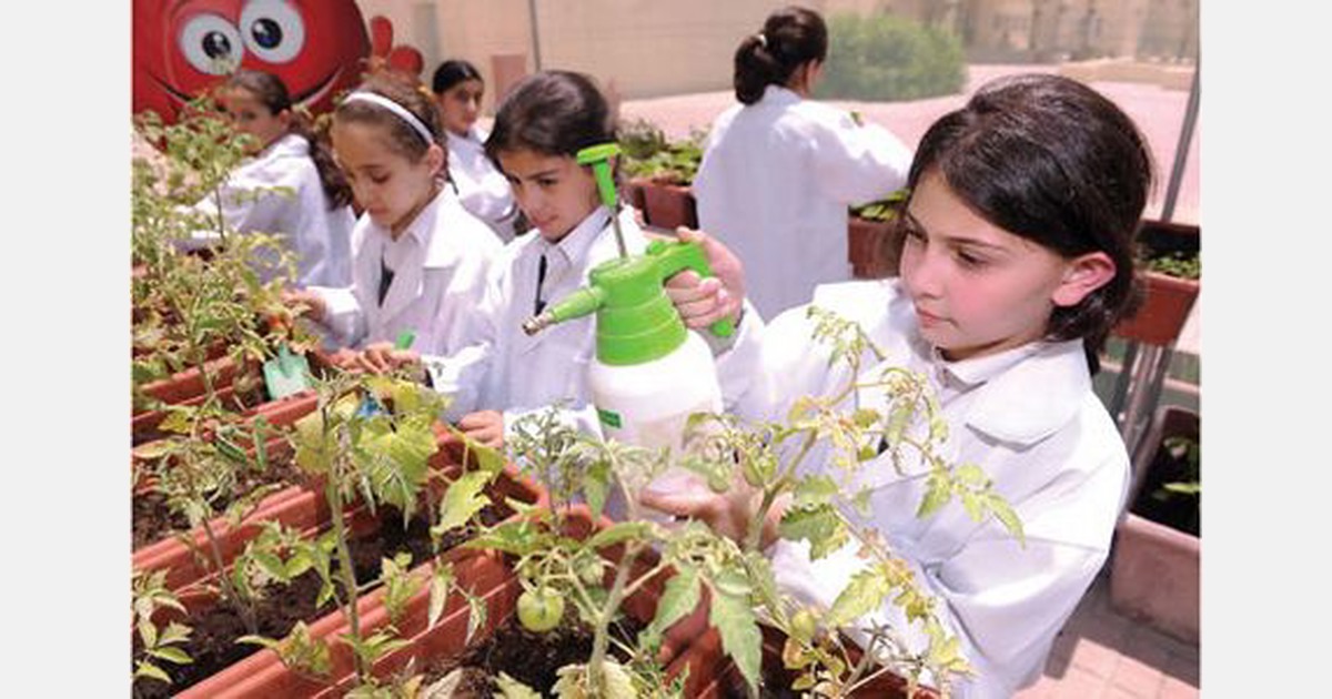 Qatar: WCMC-Q hosts greenhouse initiative for primary schools