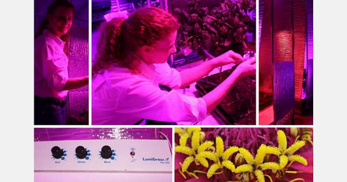 US: LumiGrow research shows promising results