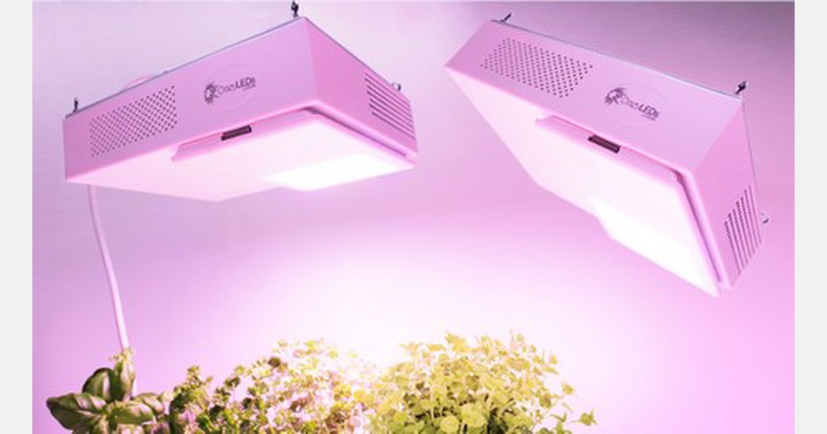 Crazy LEDs announce Holographic Series 1 LED Grow light