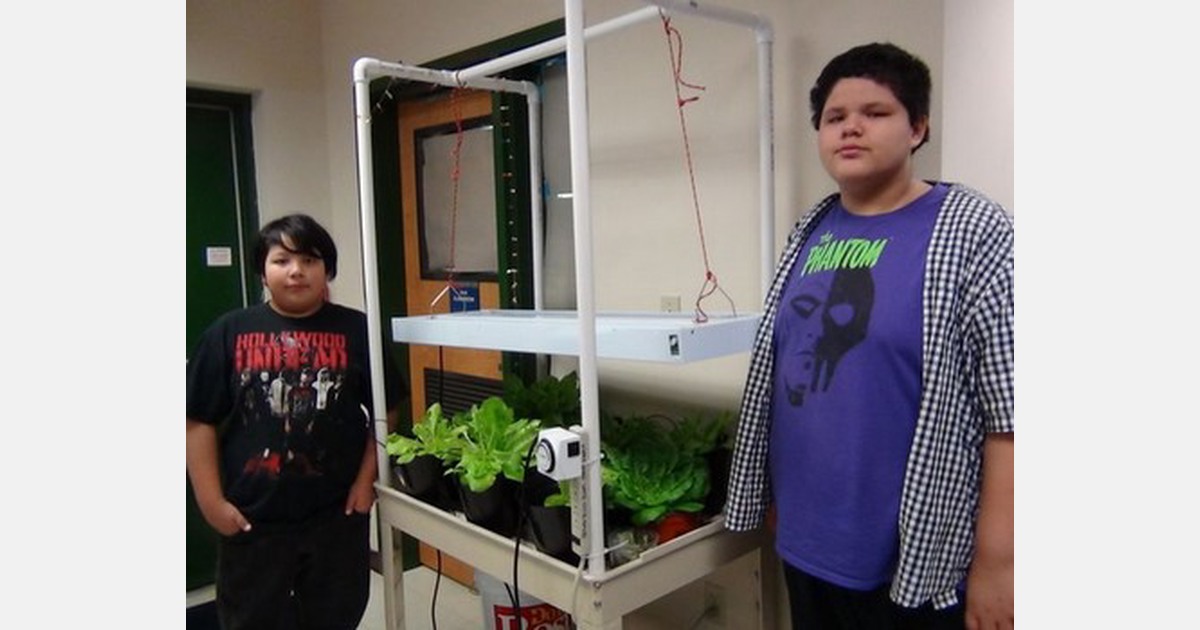US (WI): Students grow lettuce in hydroponics experiment