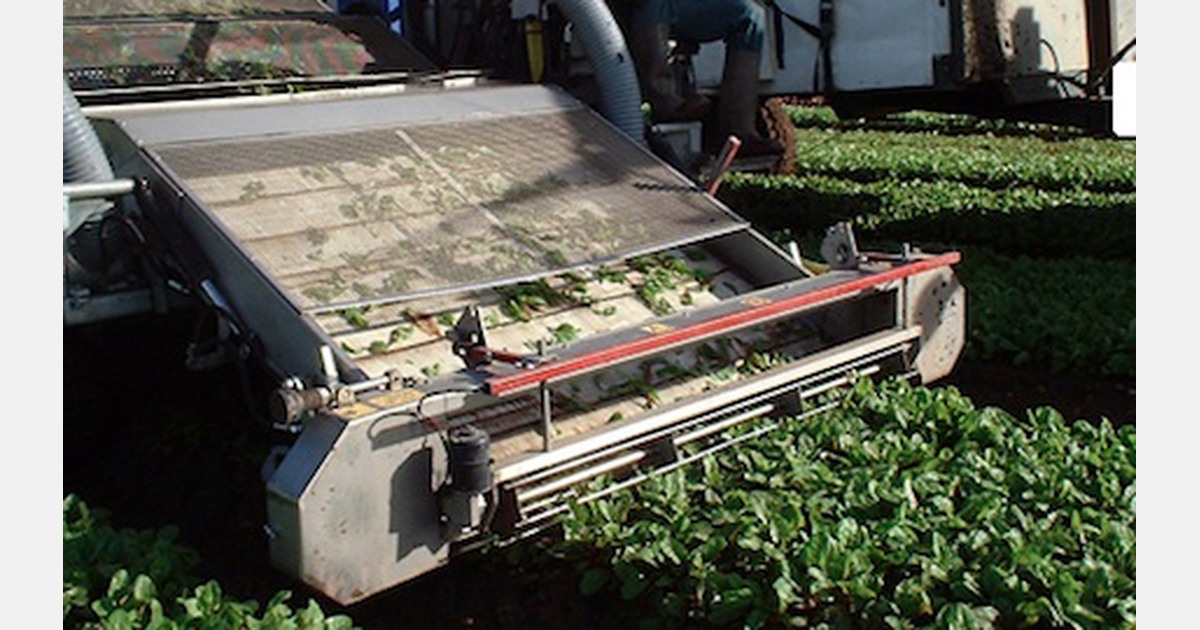 UK: Morrish Engineering designs baby-leaf harvester