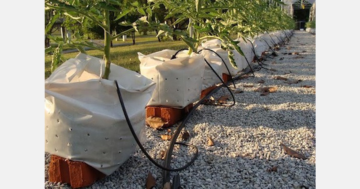 Malaysia: Mardi promotes planting of vegetables, fruits using ...