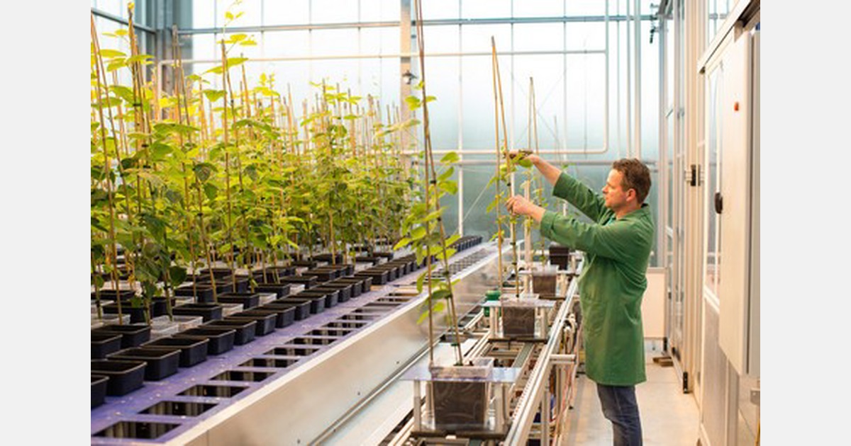 KeyGene opens expanded digital plant phenotyping facility