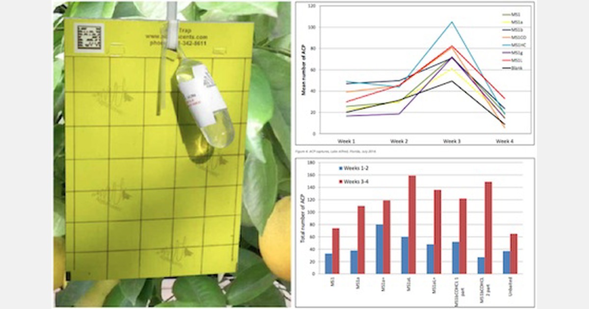 Novel attractant and trap for more sensitive ACP Monitoring and detection